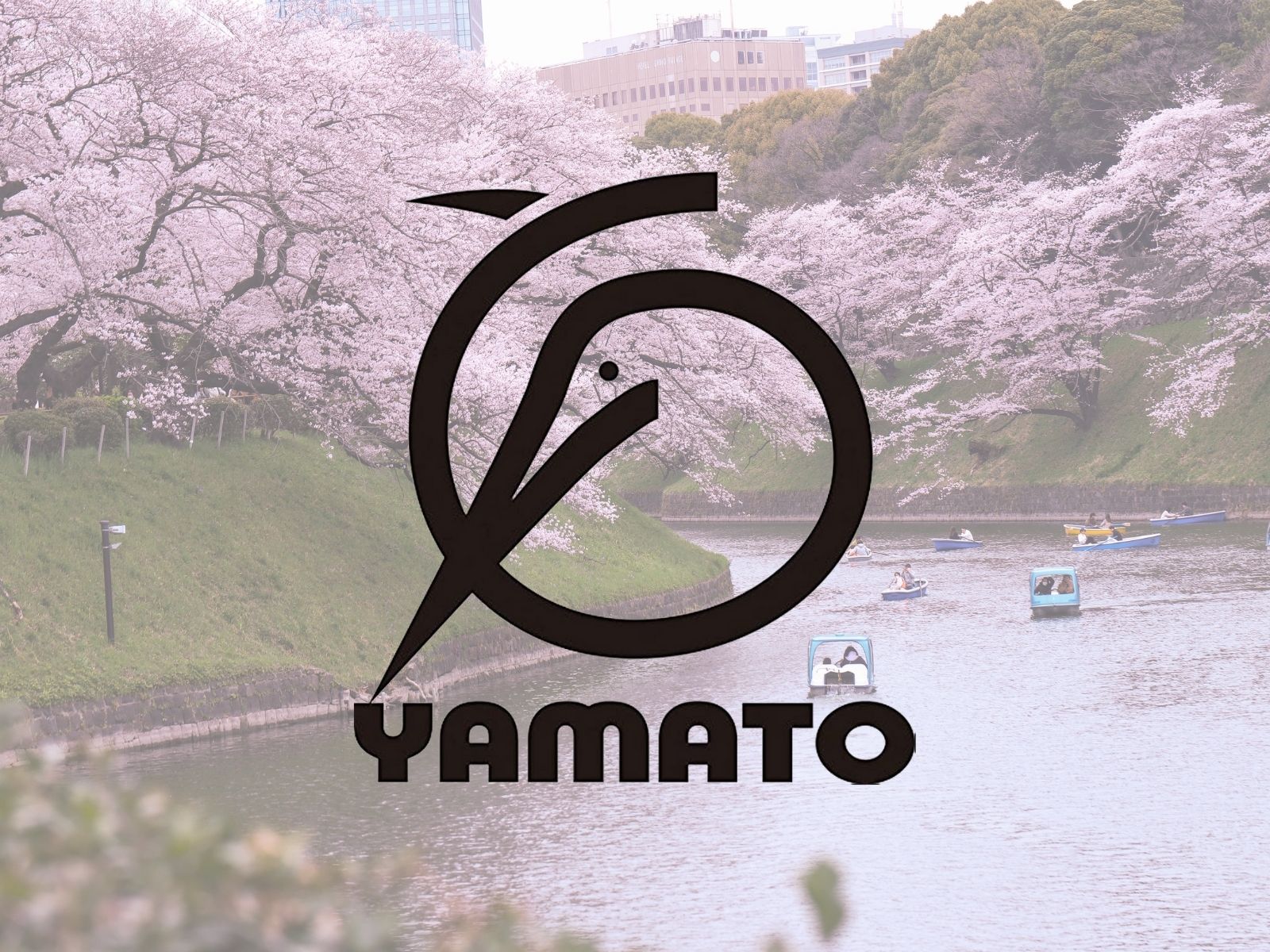 Yamato Scissors New Zealand – Japan Scissors NZ